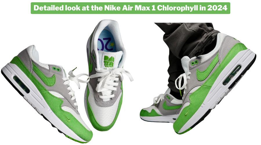 Review of the Patta x Nike Air Max 1 SP Chlorophyll 2024 - Detailed ...